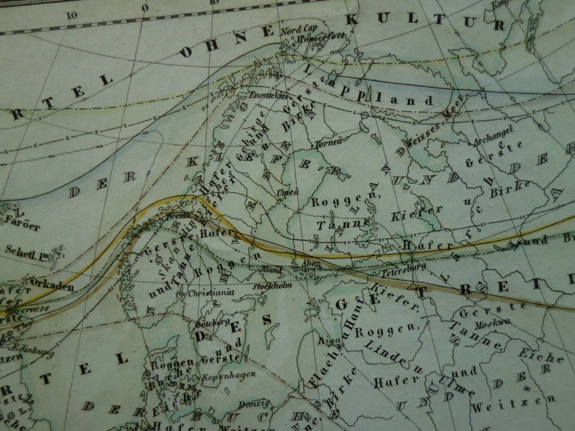 EUROPE Map of Agriculture 1850 Old Antique Print About Crops | Etsy