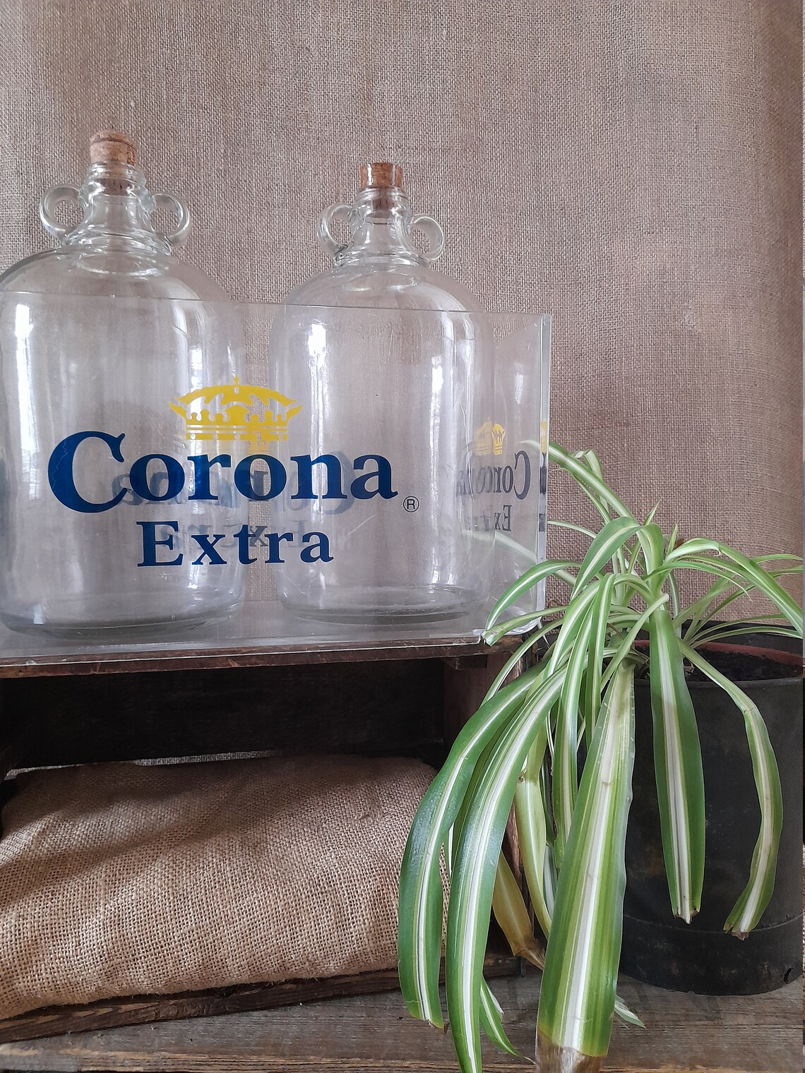 1990s Corona Extra Box Crate - Etsy