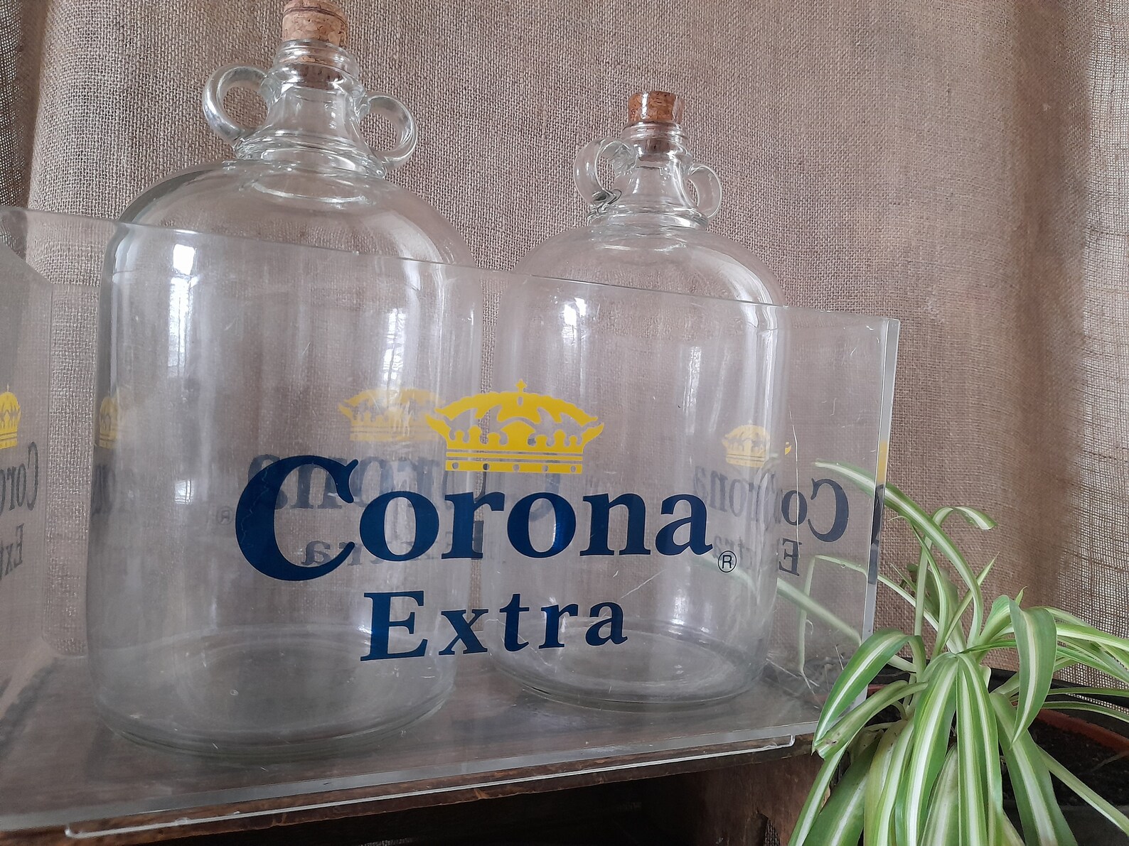 1990s Corona Extra Box Crate - Etsy
