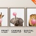 Animals Blowing Bubbles Set of 3 Safari Animal Prints for - Etsy