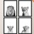 Safari Animal Wall Decor Set of 6, Jungle Animal Nursery Prints, Safari ...