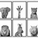 Safari Animal Prints for Jungle Nursery, Black and White Animal ...