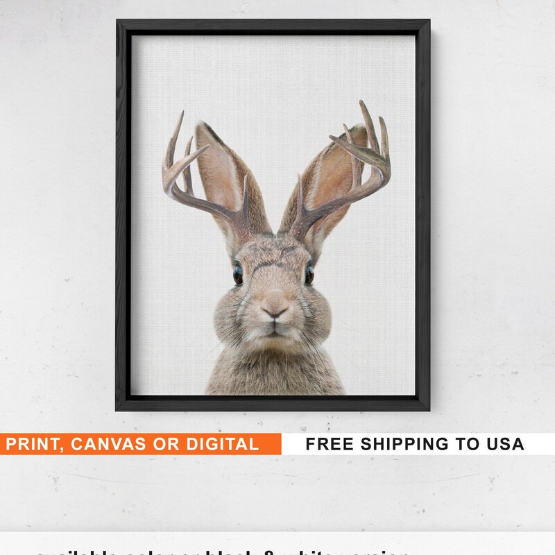Jackalope Art - Etsy