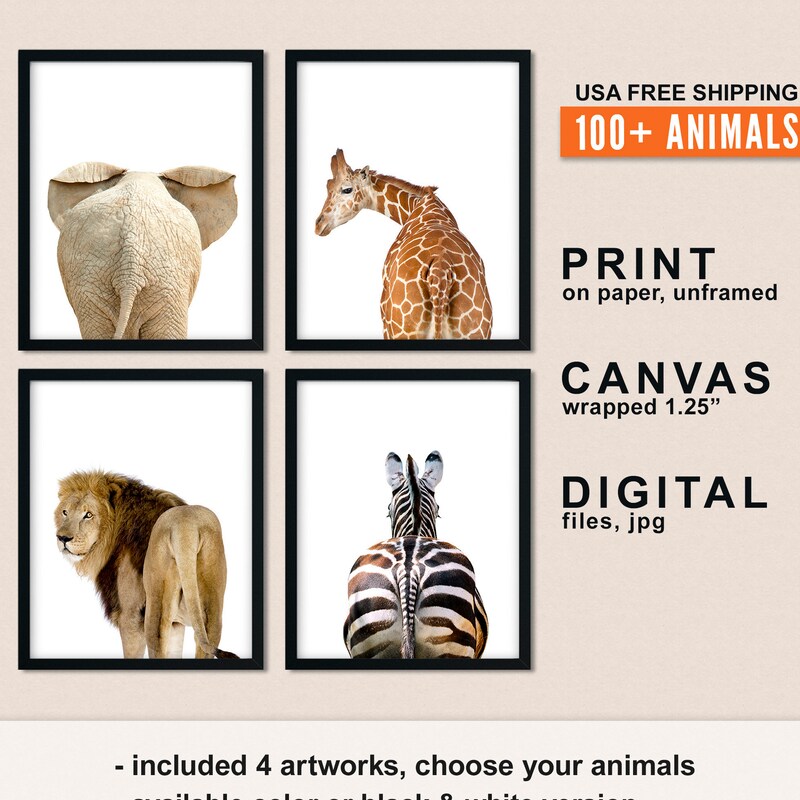 Funny Animal Art - Etsy