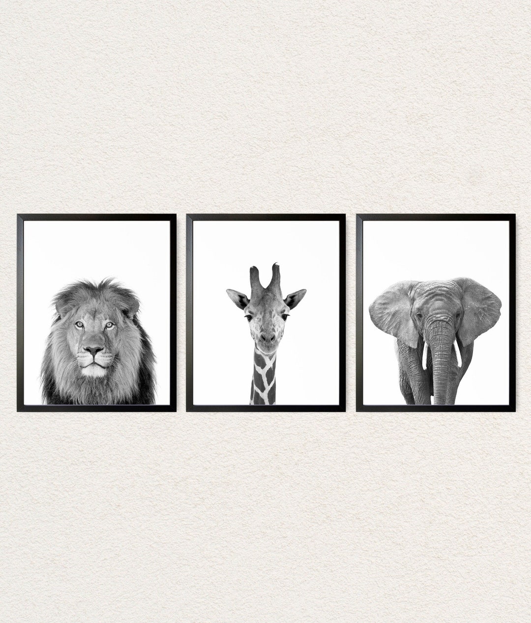 Choose Your Safari Animal Prints, Jungle Nursery Wall Art Set Black and ...