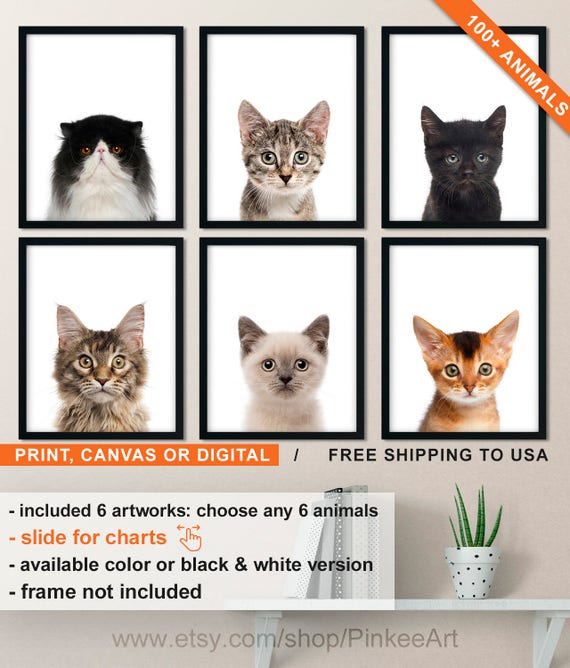 Cat Print Set Kitten Nursery Decor Cat Canvas Art Kitten | Etsy