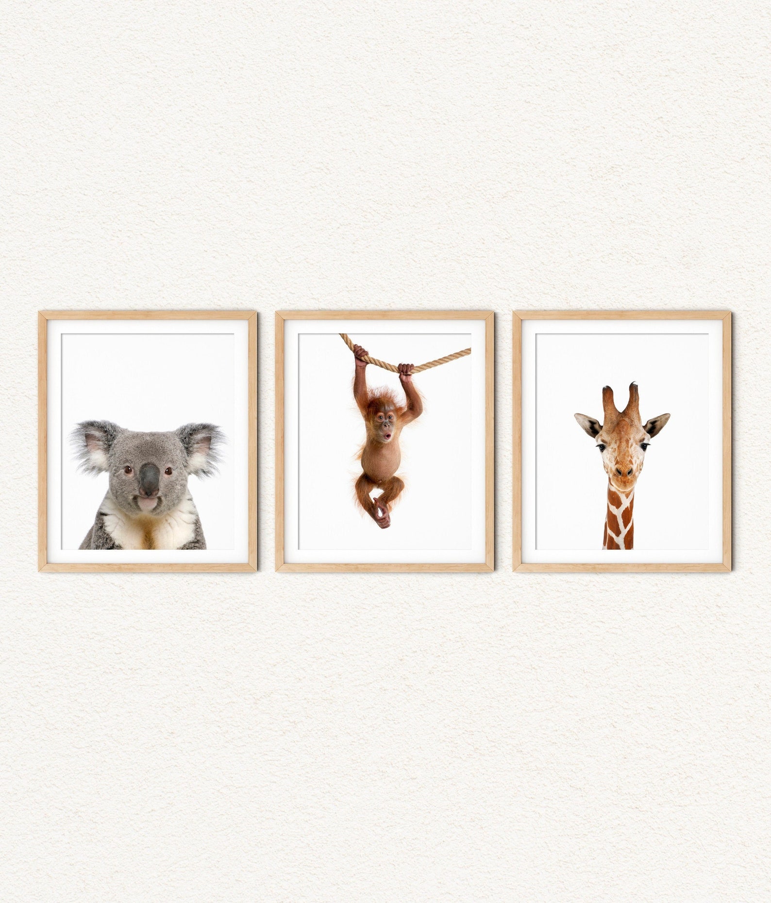 Jungle Animals Wall Art Zoo Nursery Decor Baby Safari Animal - Etsy