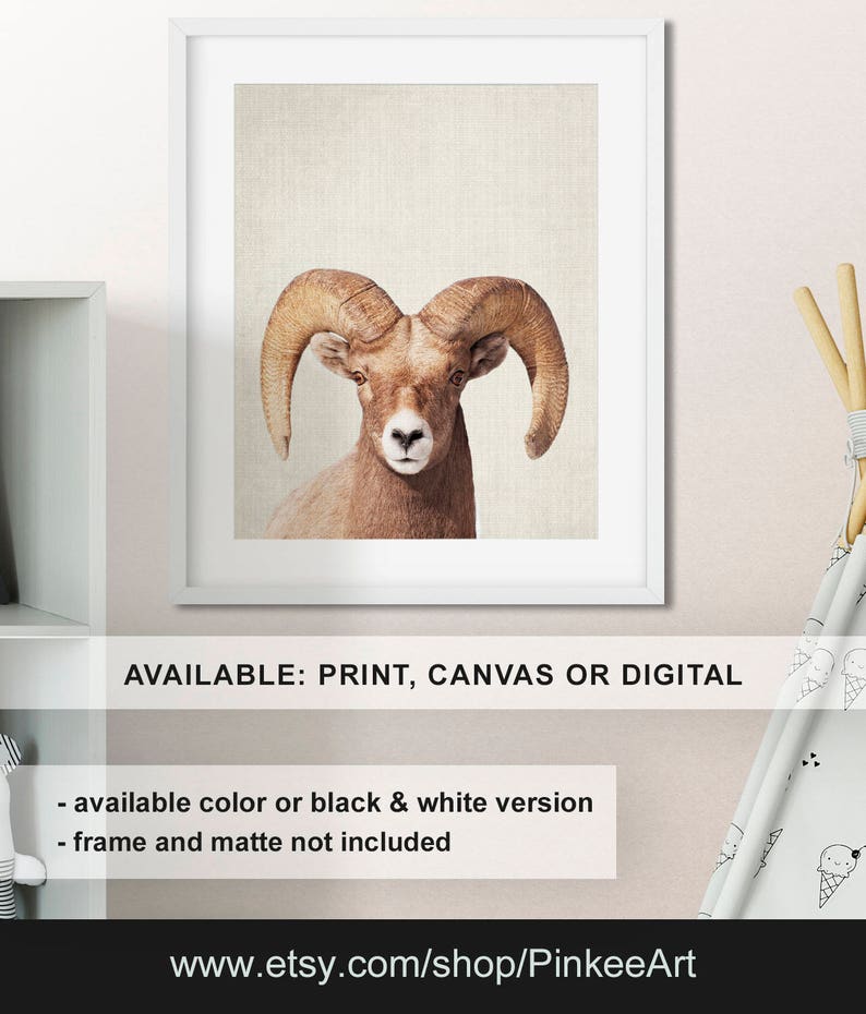 Ram Print Bighorn Sheep Art Wildlife Nursery Decor Ram - Etsy