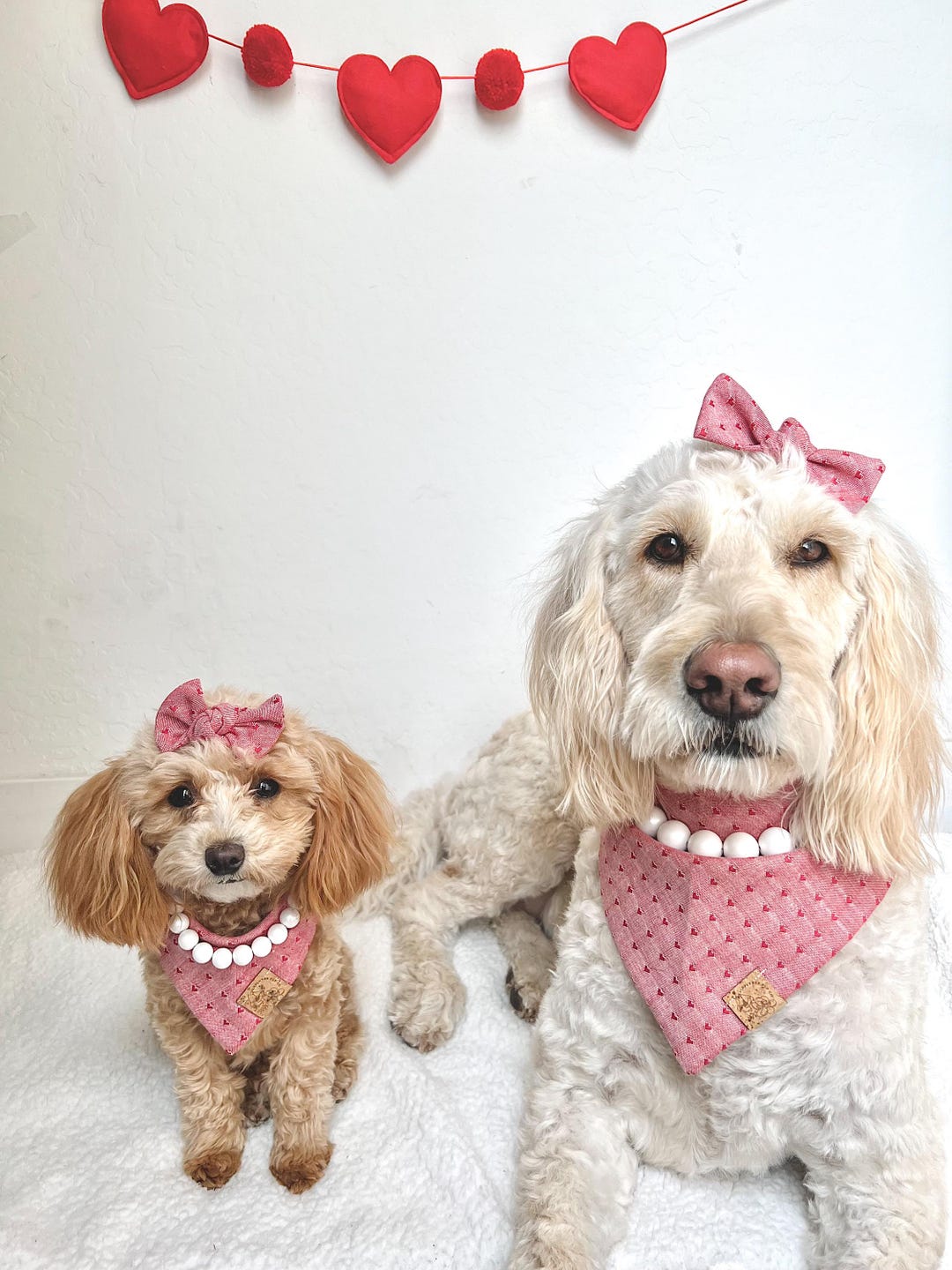 Mini White Pearls Dog Necklace - Pet Accessories - Jewelry for Dogs ...