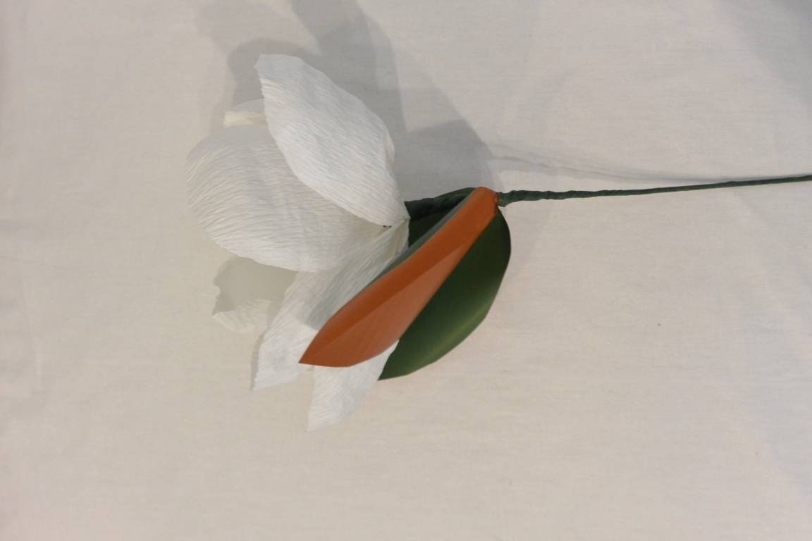Paper Magnolia Flower Magnolia Decor Large Paper Flowers - Etsy
