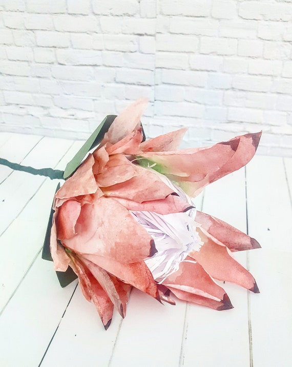 Large Paper Protea Flower King Protea Flower Pink Protea | Etsy