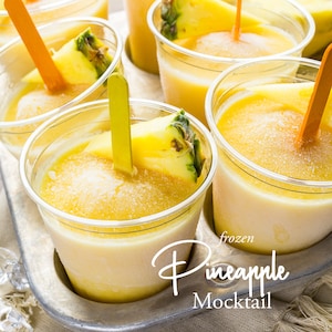 Cocktail Mocktail Mix Shots: Small Batch Party Favors - Etsy
