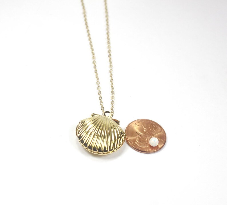 The World is Your Oyster.shell Locket Necklace .oyster | Etsy