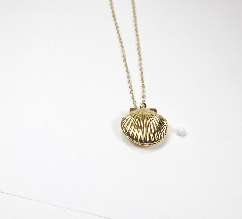 The World is Your Oyster.shell Locket Necklace .oyster - Etsy