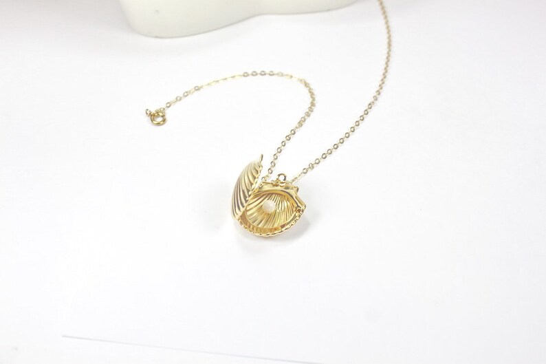 The World is Your Oyster.shell Locket Necklace .oyster - Etsy