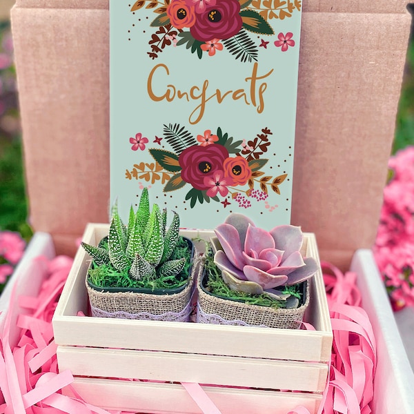 Congratulations Gift - 60+ Gift Ideas for 2024