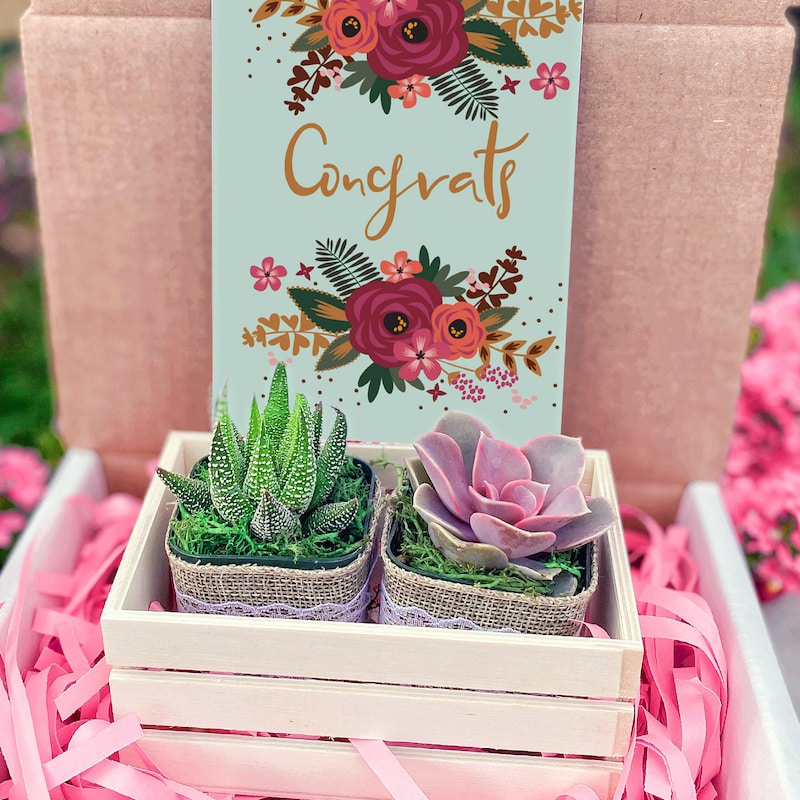 Congratulations Gift - 60+ Gift Ideas for 2025