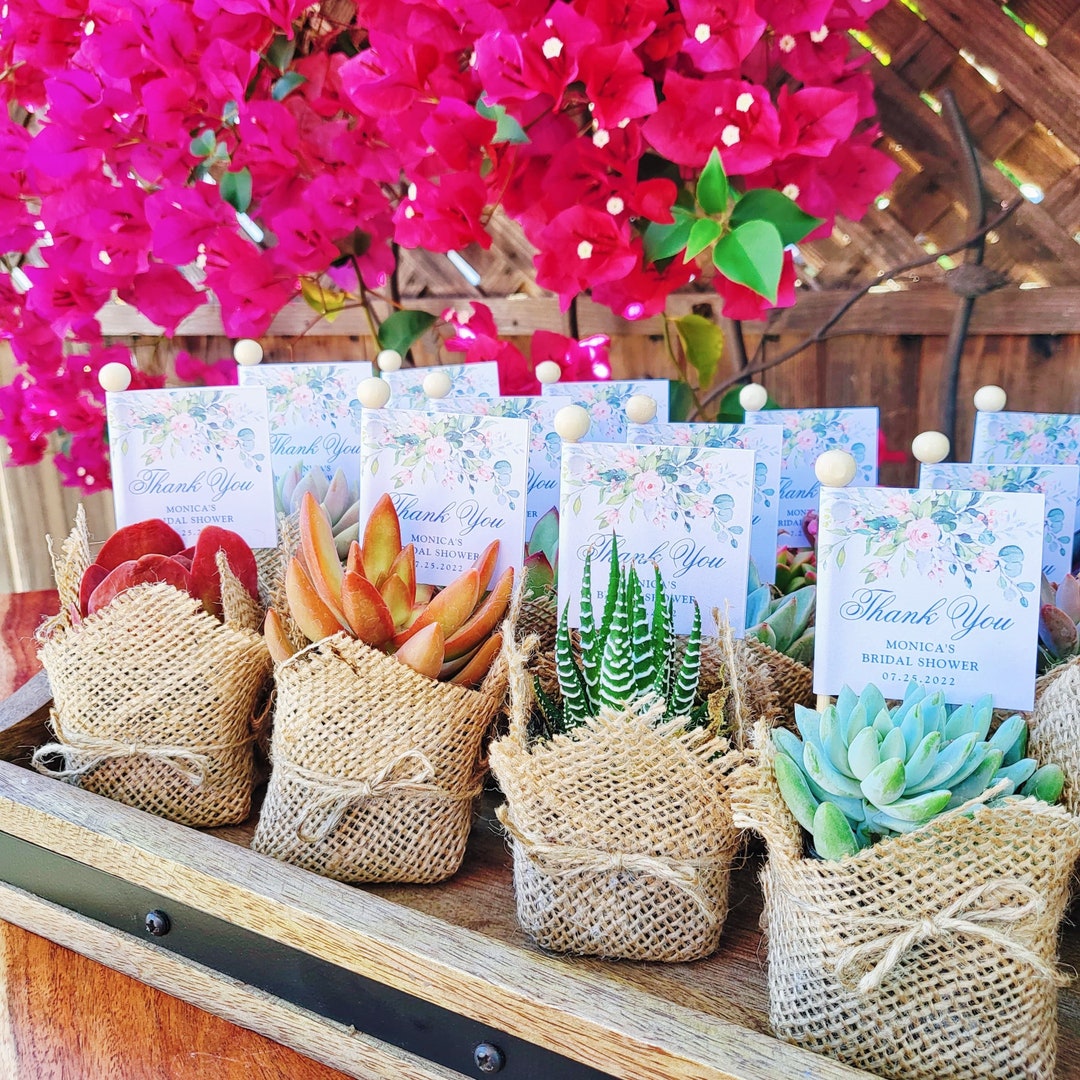 Succulent Party Favors, Succulent Favors, Bridal Shower Party Favor ...