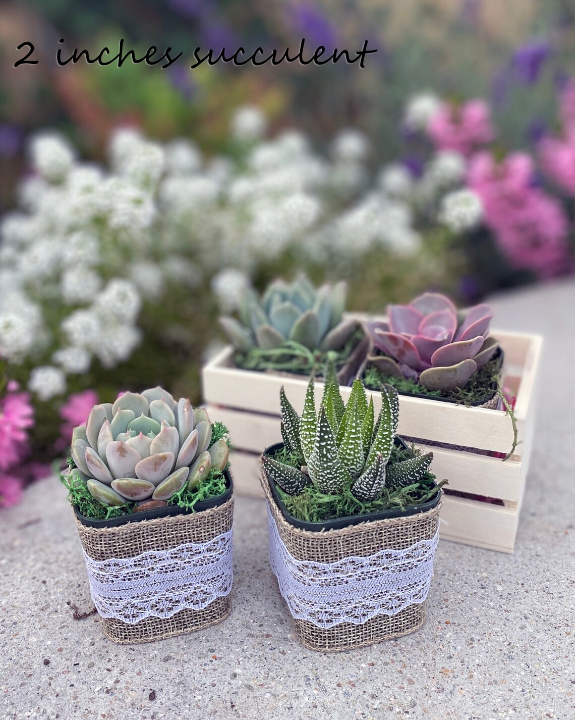 Congrats Gift Box for Her Way to Go Gift for Best Friend - Etsy