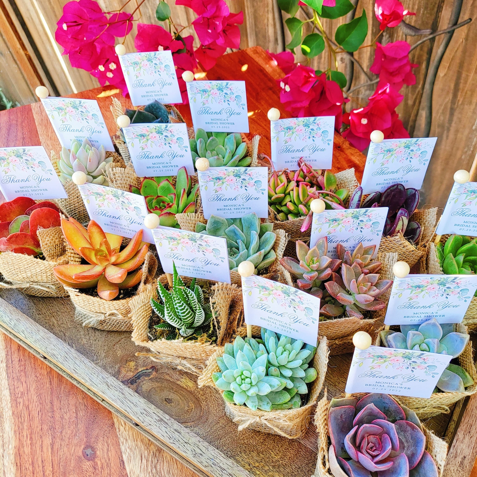 Succulent Favors Gifts Bridal Shower Party Favor Baby Shower - Etsy