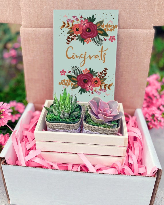 Congratulations Gift Box New Job Gift Congrats - Etsy