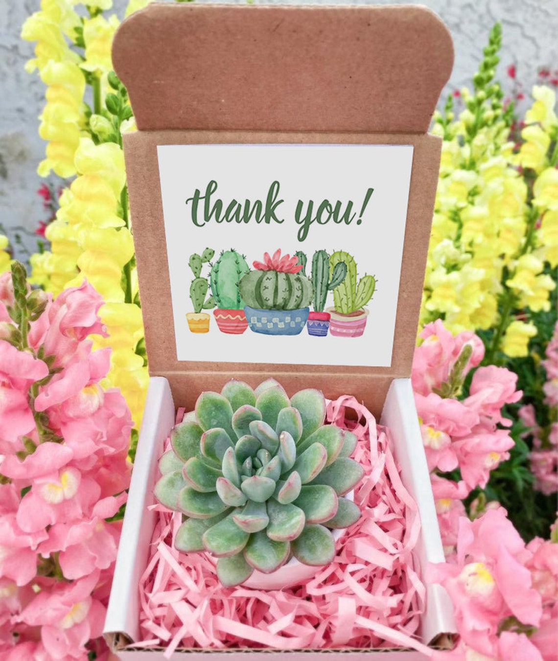 Succulent Gift Box - Thank You Succulent Gift Box- Appreciation Box ...