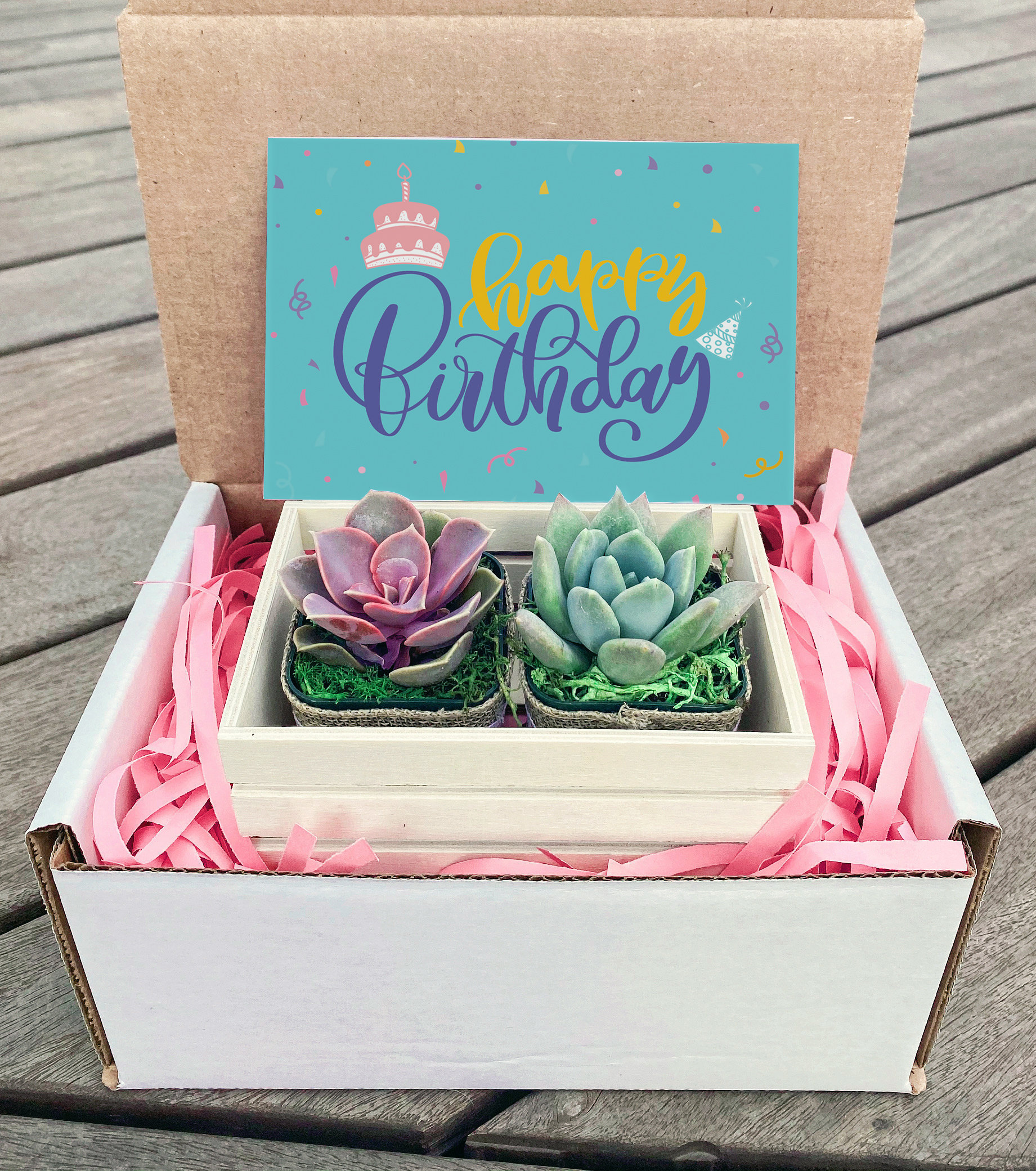 Succulent Birthday Gift Box - Birthday Gift Box - Birthday Gift for Her ...