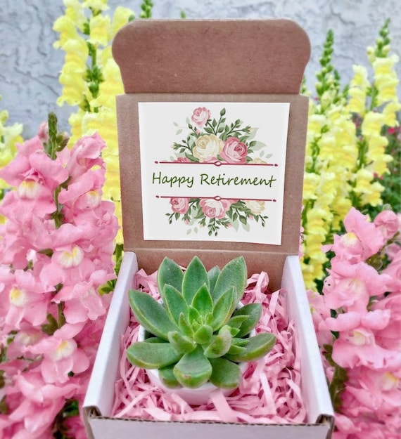Happy Retirement Gift Box Retirement Gift Box Succulent - Etsy