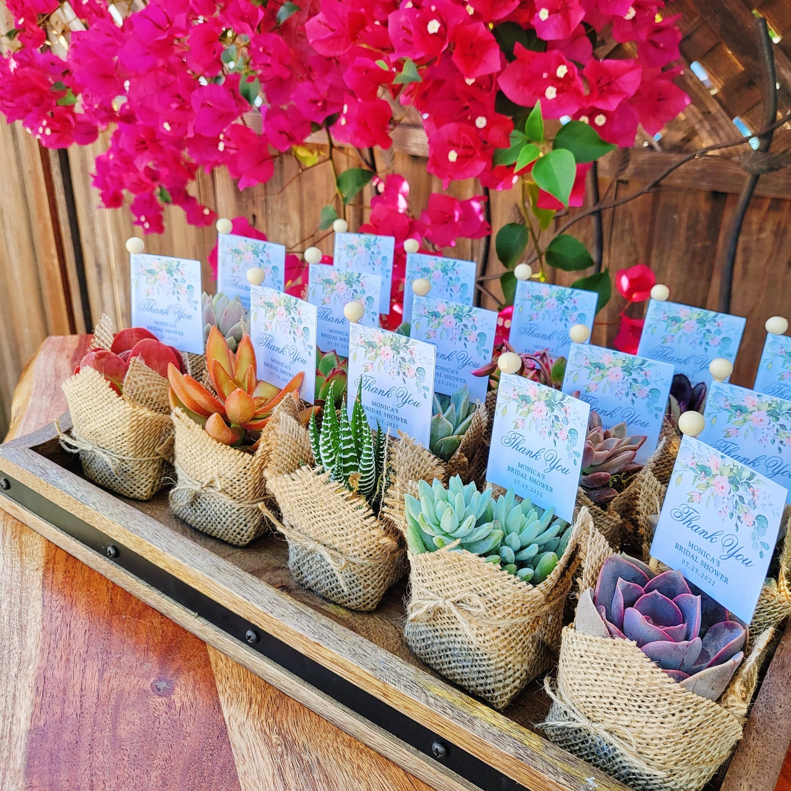 Succulent Favors Gifts Bridal Shower Party Favor Baby Shower - Etsy