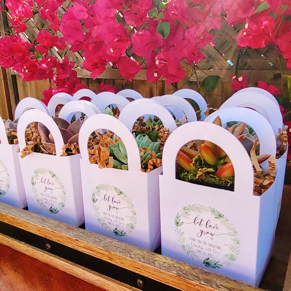 Succulent Party Favors Bridal Shower Party Favor Baby Shower - Etsy