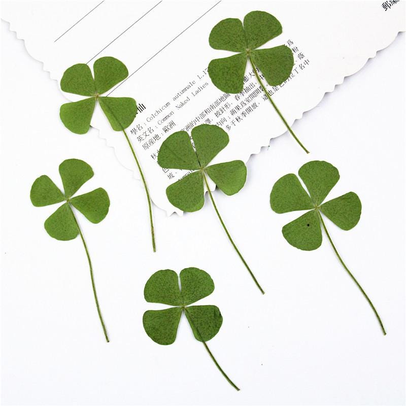 4 Leaf Clover Charm Bulk - Etsy