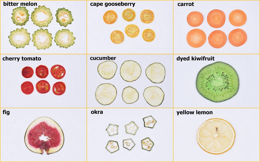 Real Pressed Fruit Slices Collection, Natural Dried Okra, Lemon, Kiwi ...