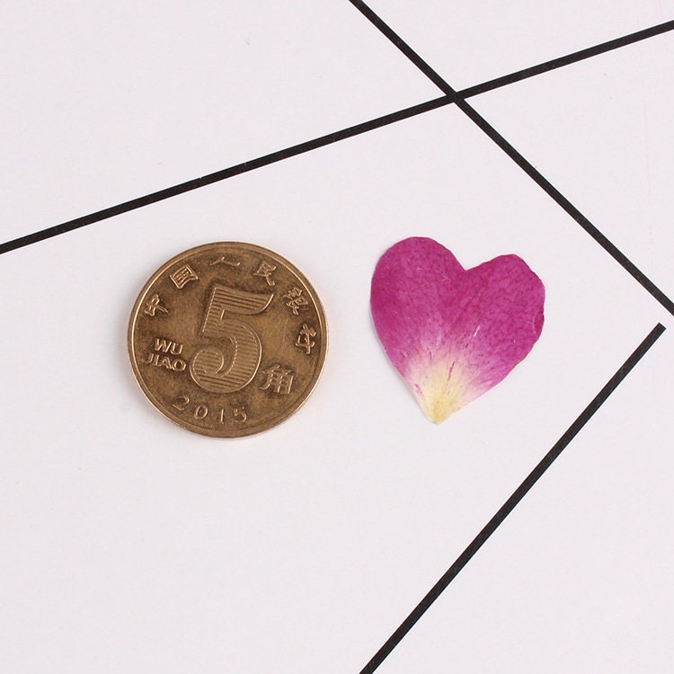 Mini Dried Flowers Pressed Rose Petal Leaf for Handmade | Etsy