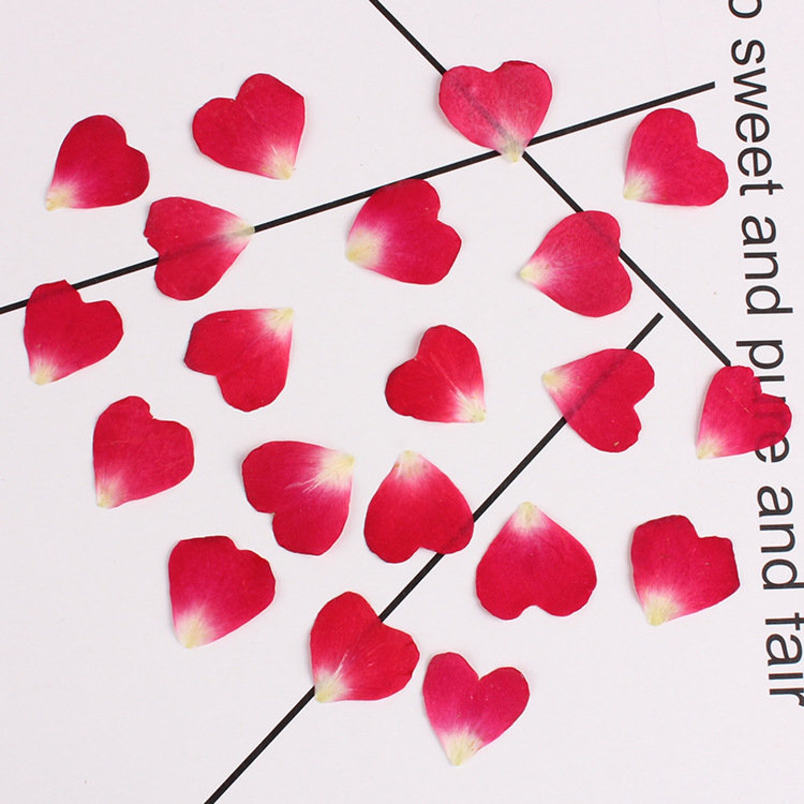 Mini Dried Flowers Pressed Rose Petal Leaf for Handmade | Etsy