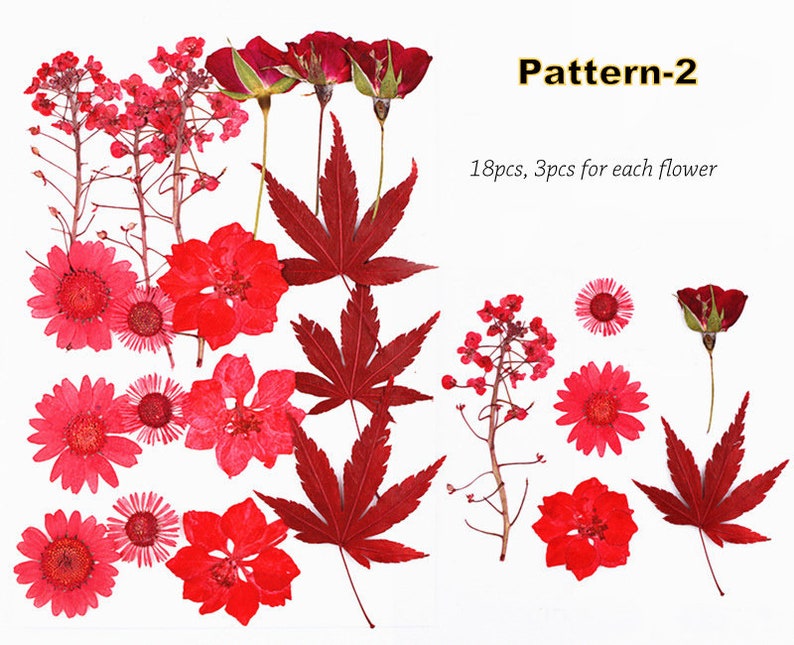 Dried Pressed Flowers Natural Flowers Red Flowers Specimens - Etsy