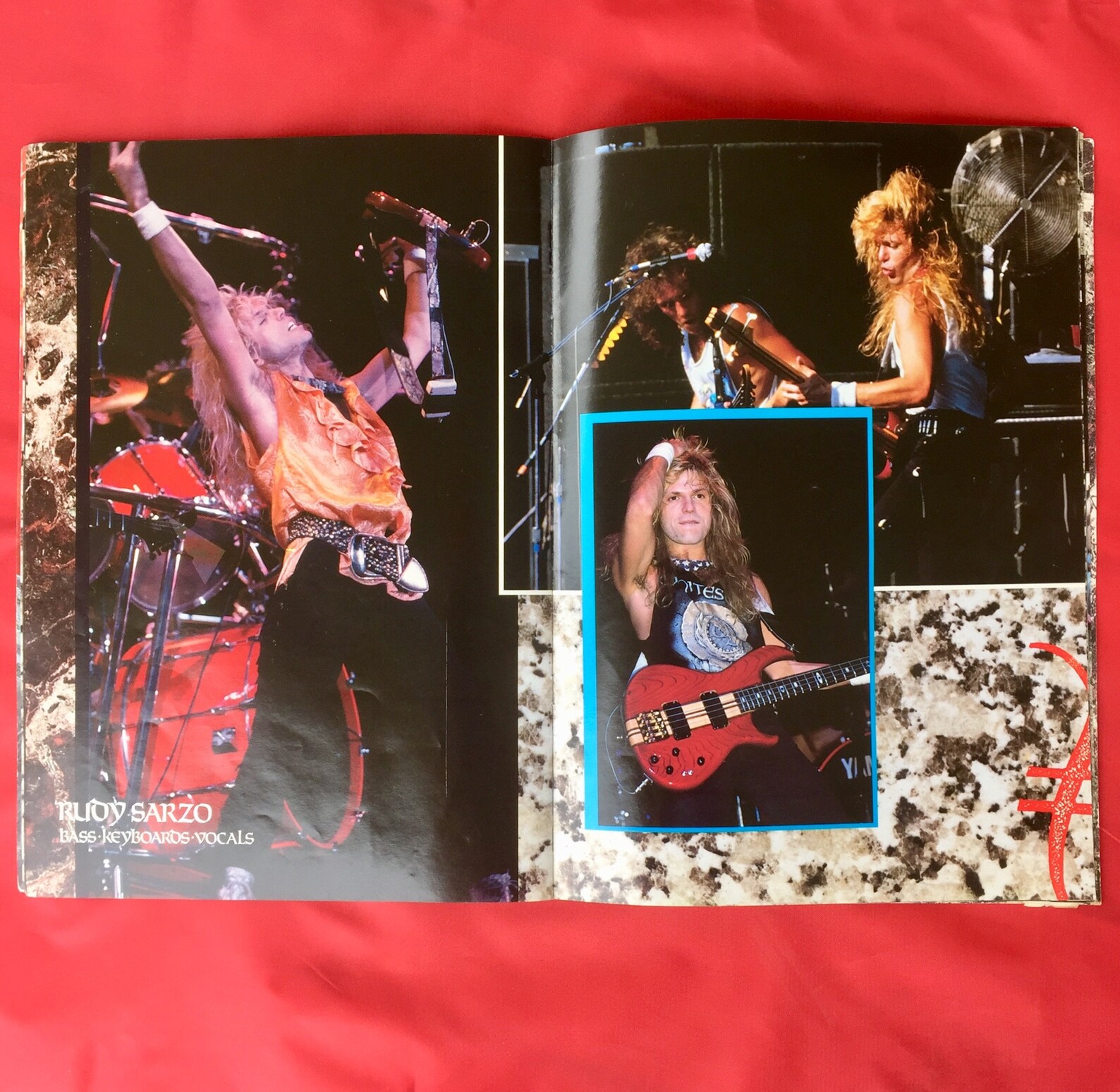 Whitesnake Tour Programme 1987-88 - Etsy