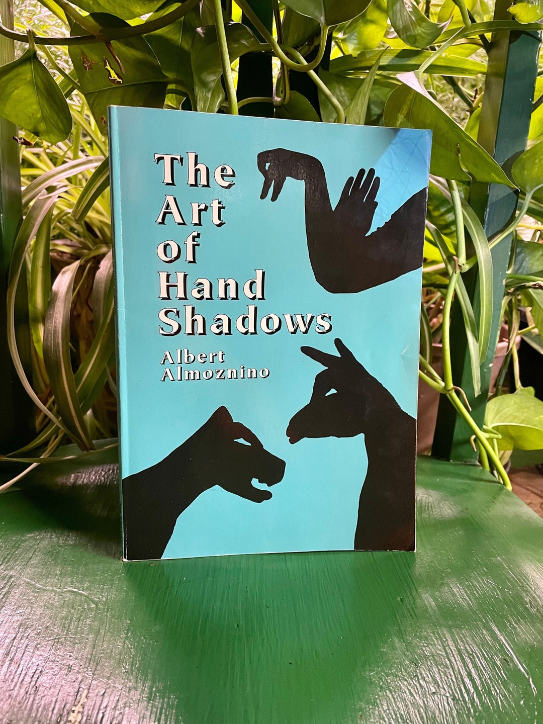 The Art of Hand Shadows by Albert Almoznino - Etsy