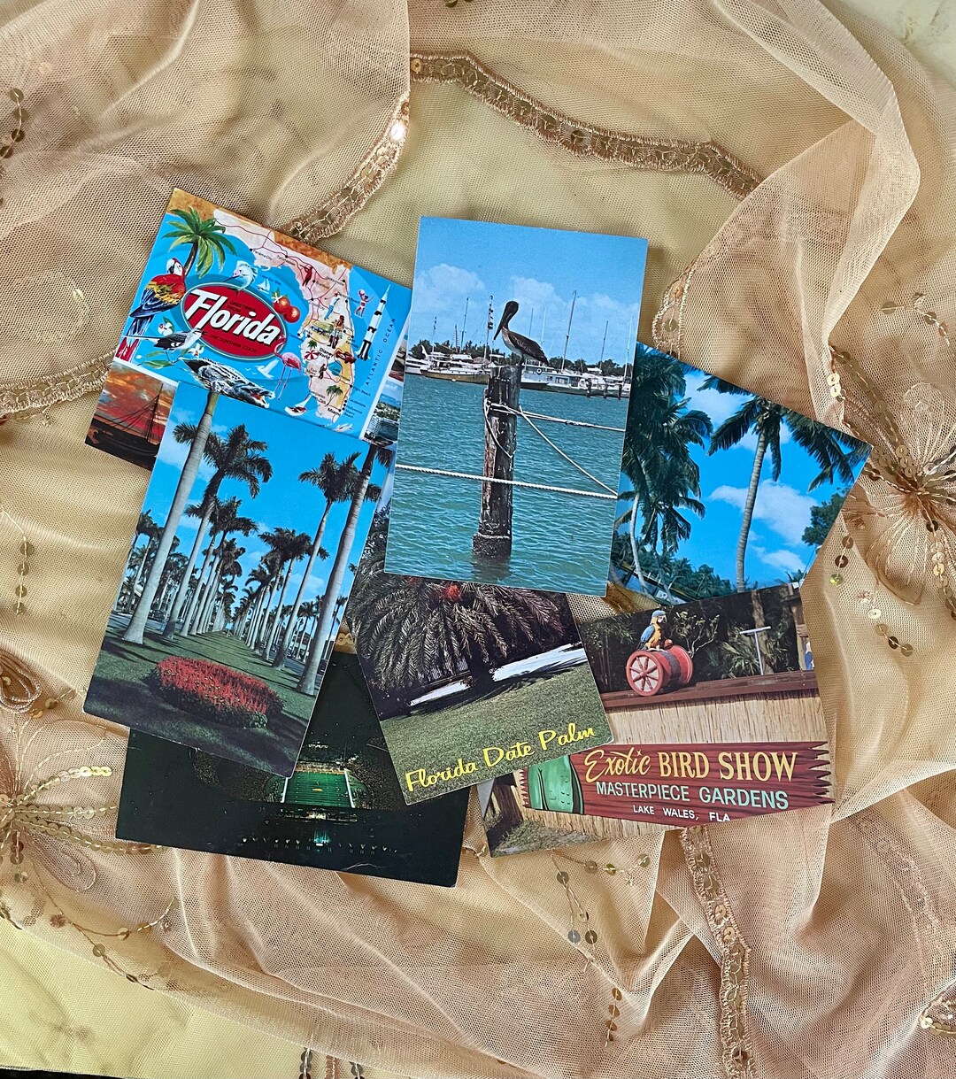 Vintage Florida Tourist Postcards - Etsy