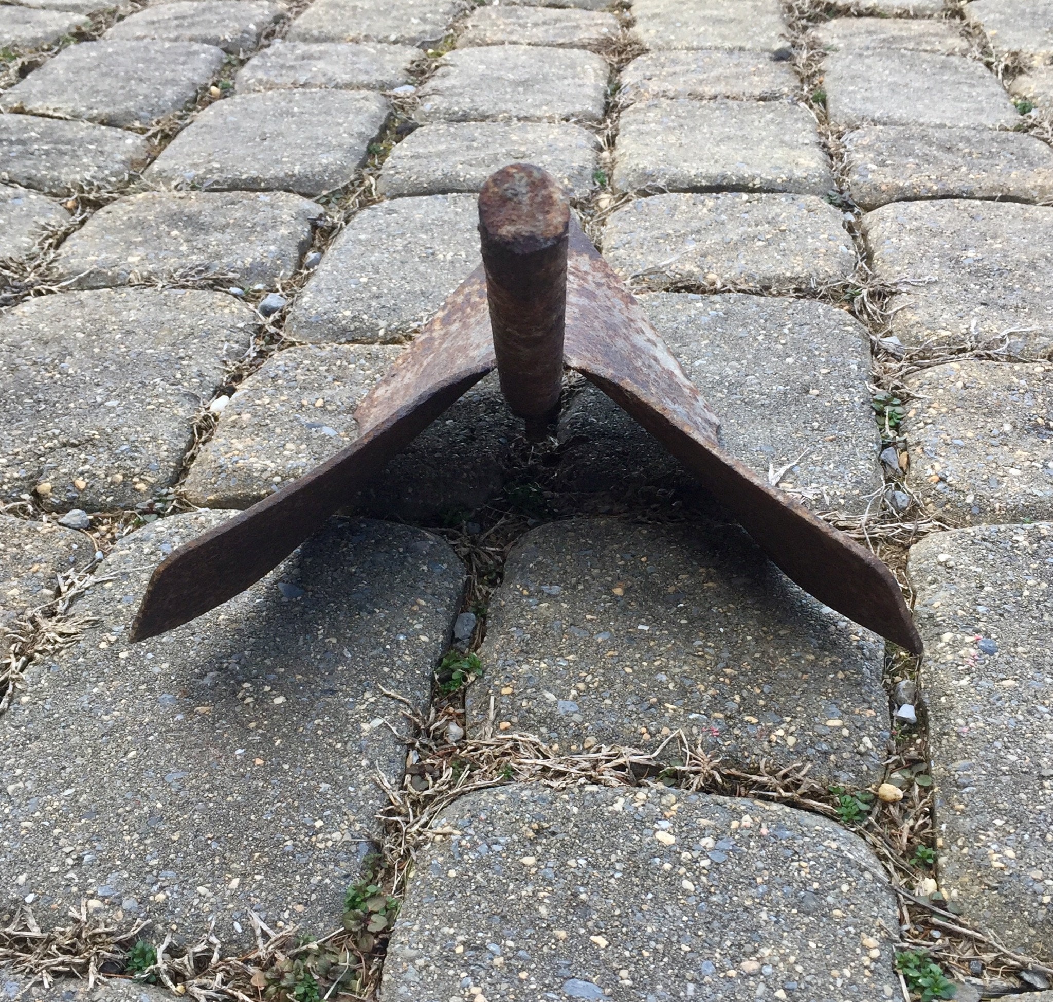 Old Plow Head Cultivator Blade - Etsy