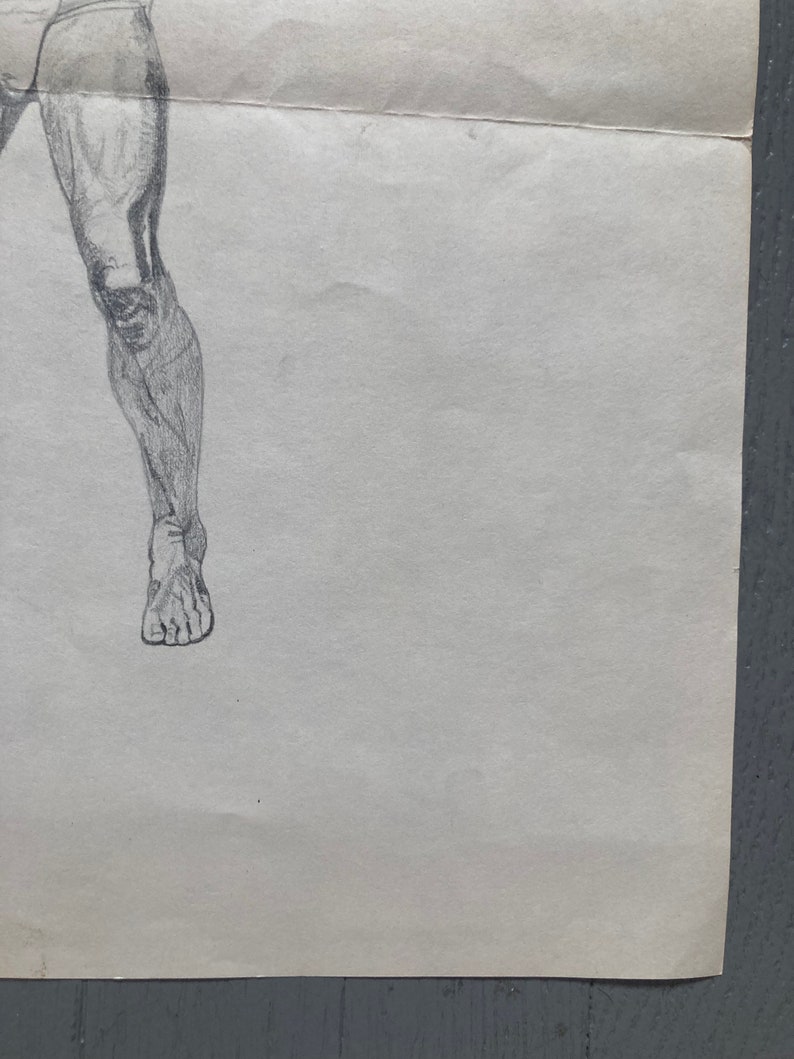 Vintage Male Physique Drawing - Etsy