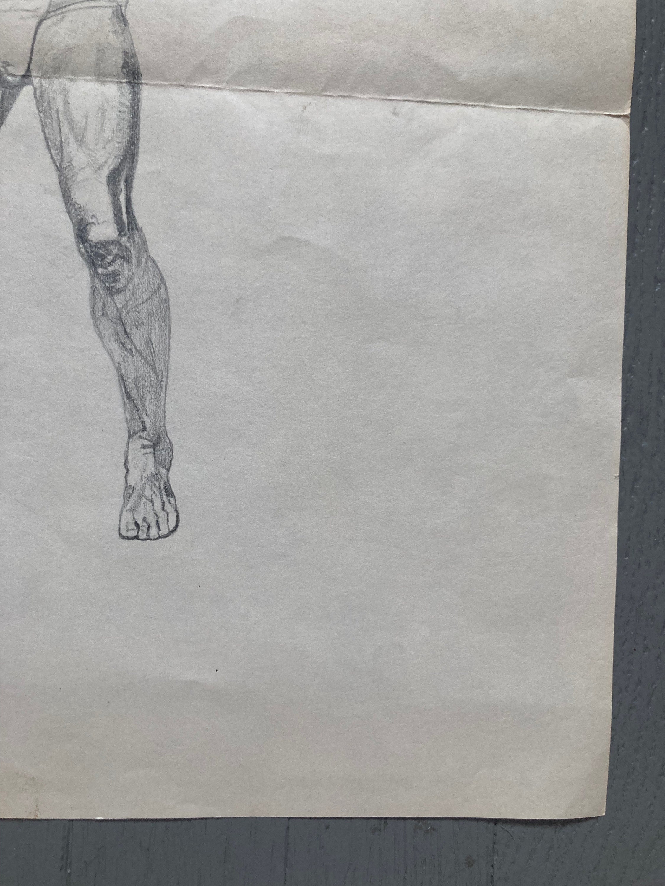 Vintage Male Physique Drawing - Etsy