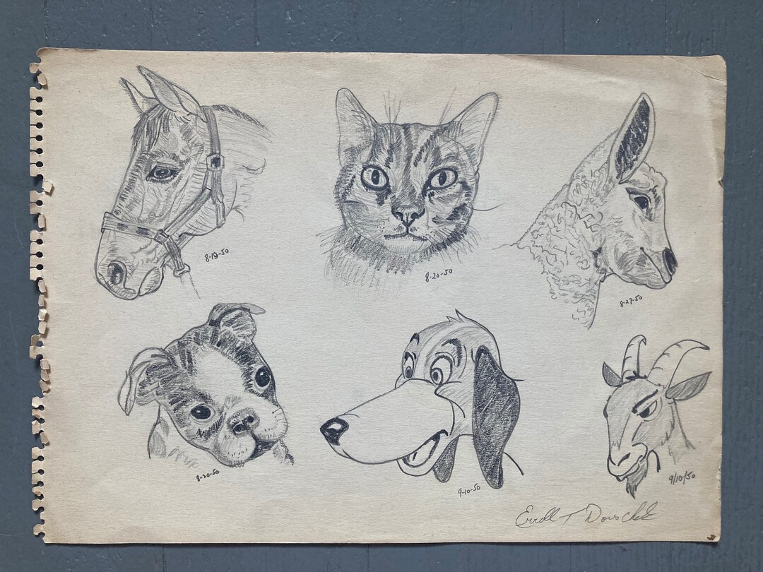 Vintage 1950's Cartoon Drawing - Etsy