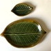 Pier 1 Leaf Shaped Platter and Side Dish Set of 2 - Etsy