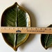 Pier 1 Leaf Shaped Platter and Side Dish Set of 2 - Etsy