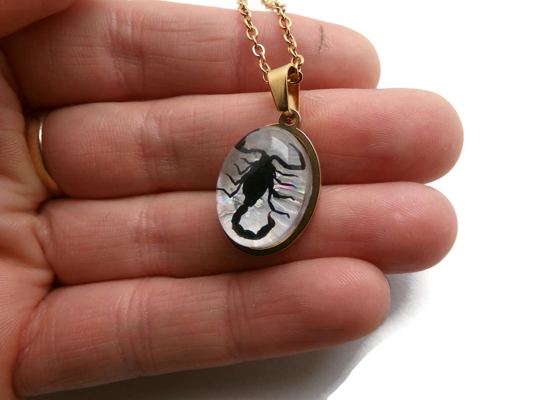 Scorpion Necklace, Preserved Scorpion, Cute Goth Jewelry, Birthday ...