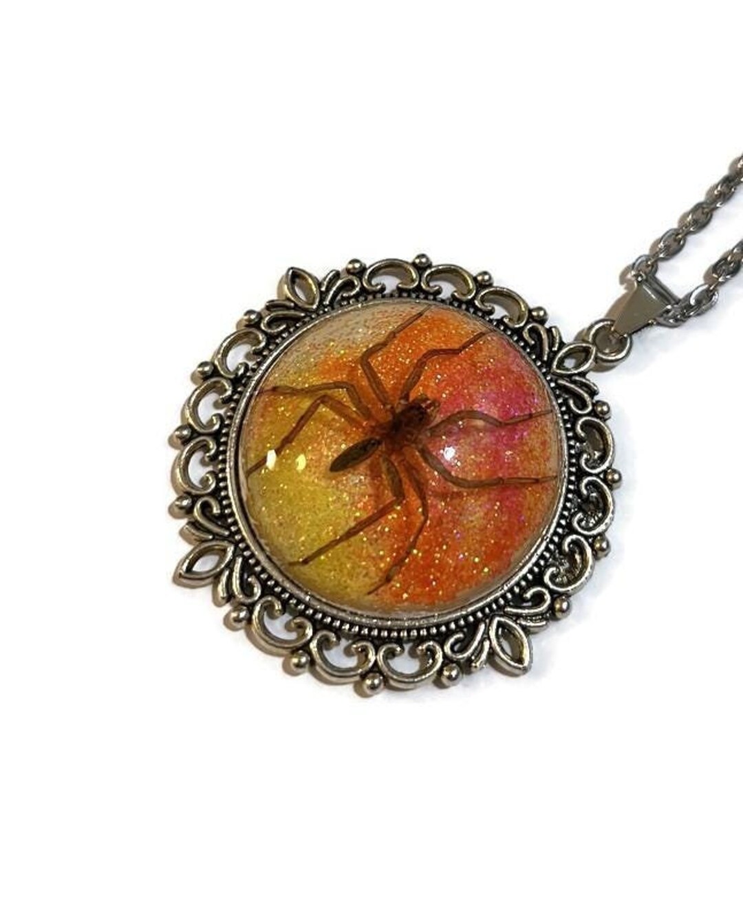 Real Spider Necklace Rainbow Glow in the Dark Pastel Goth Oddities - Etsy