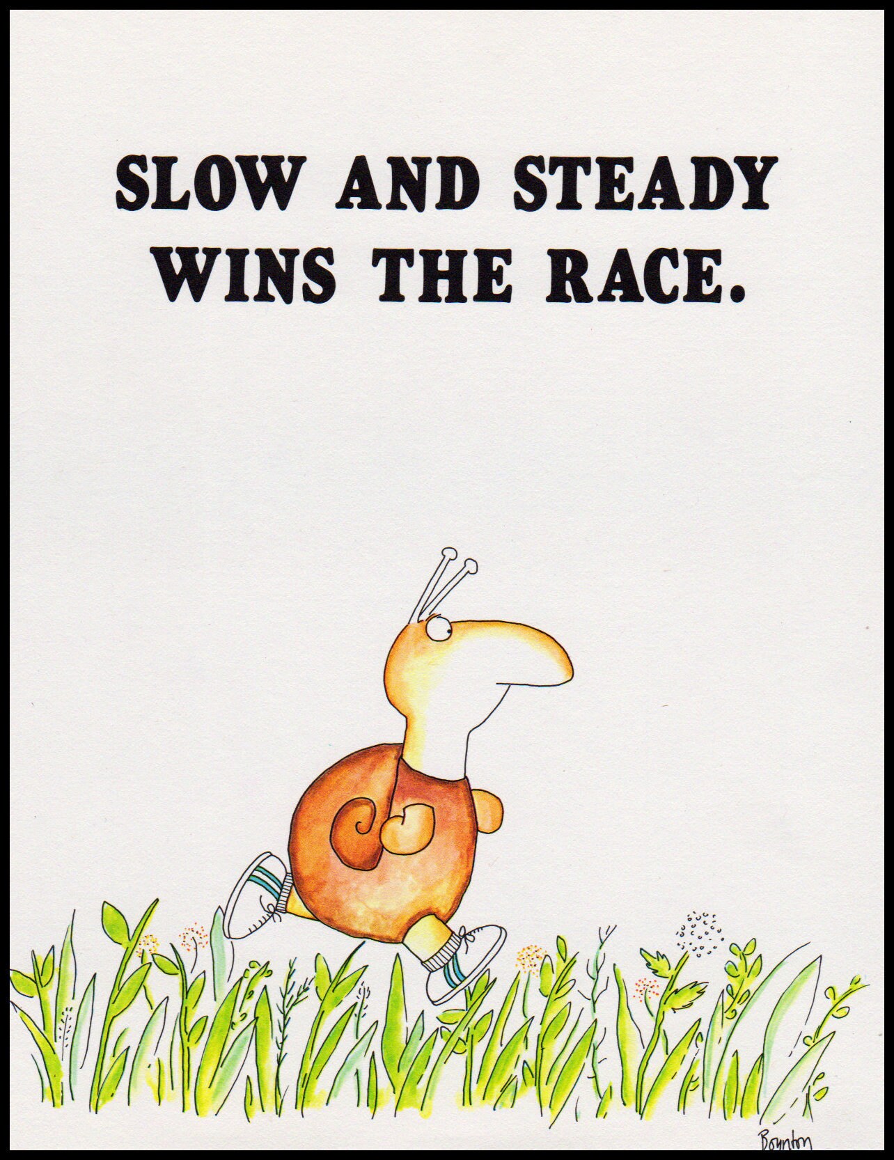 Aesop's Fable slow & Steady Wins the Race Sandra Boynton Proverb ...