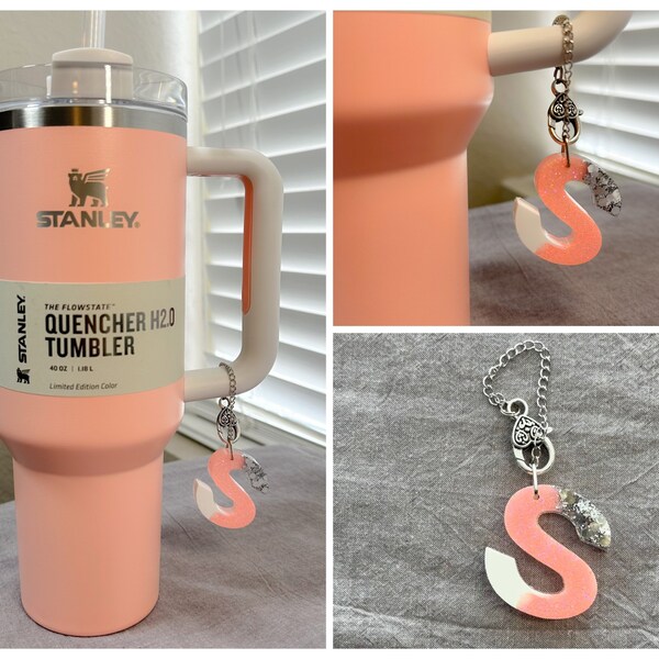 Starbucks Stanley Cup Peach - Etsy
