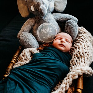 Bear Adventure Monthly Milestone Stuffed Animal, Monthly Growth Tracker ...