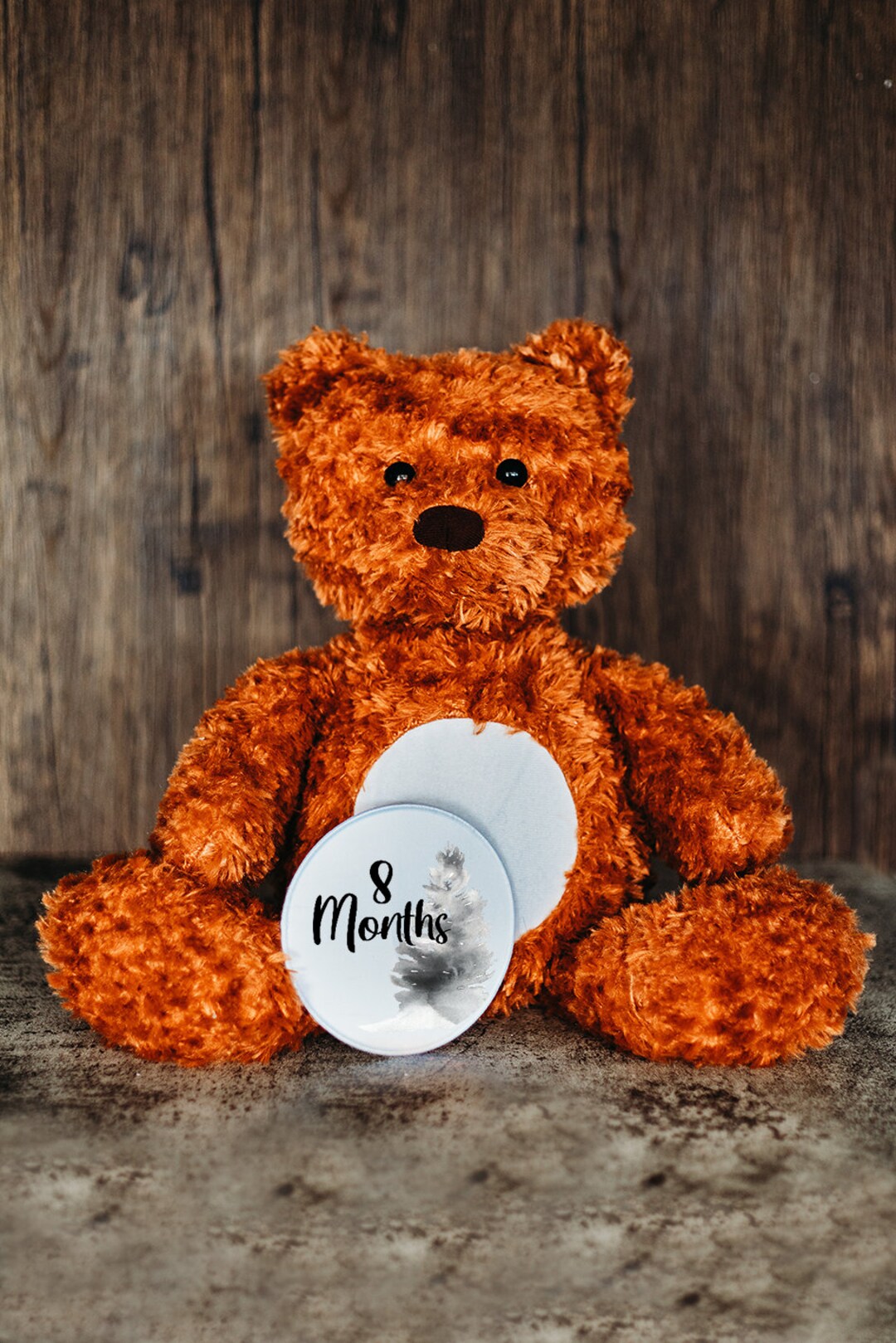 Bear Adventure Monthly Milestone Stuffed Animal, Monthly Growth Tracker ...